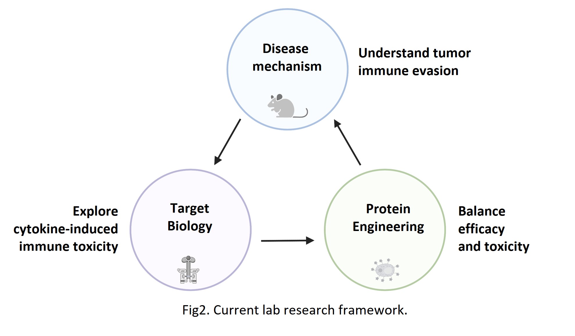 Research – Zhou Lab