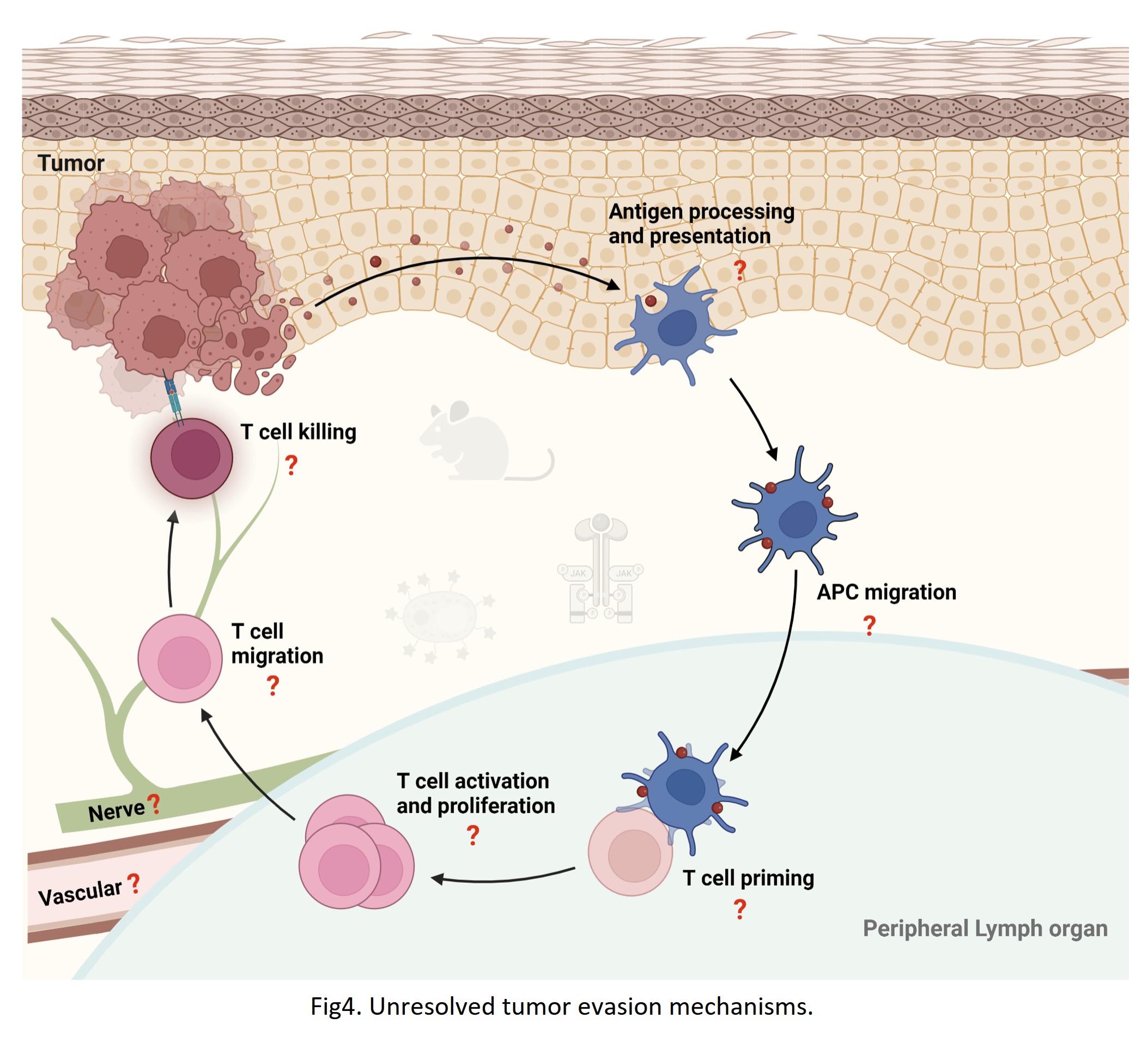 Research – Zhou Lab