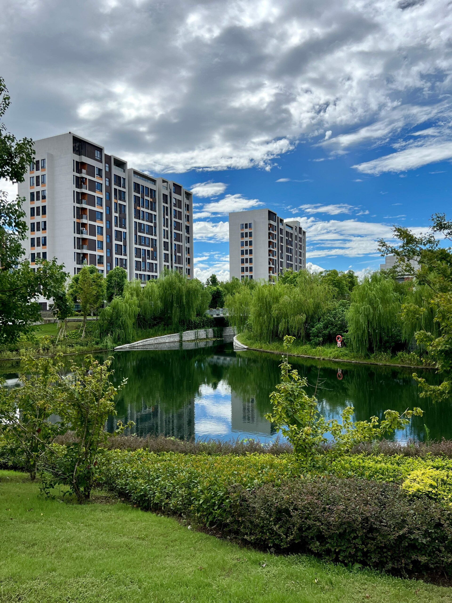 Gallery – The Zhou Lab @Westlake U | Tissue Immunology